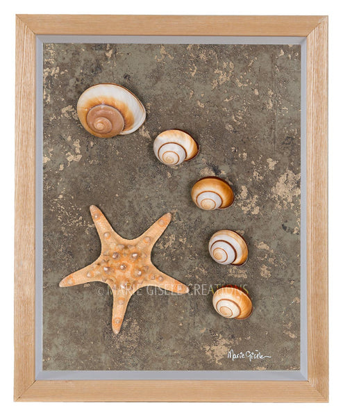 Sea Life Collage I - Marie Gisèle Creations